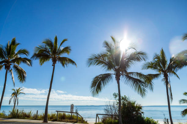 Home - Yeppoon Medical Care